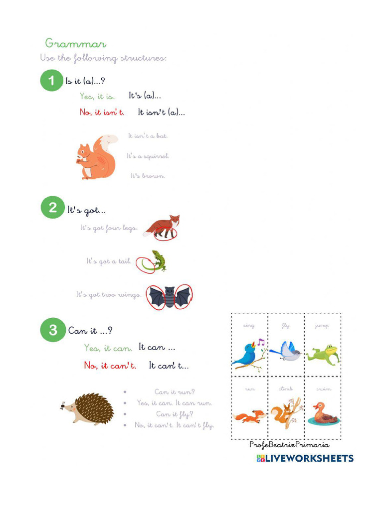 Grammar Unit 4 Animals Everywhere | PDF