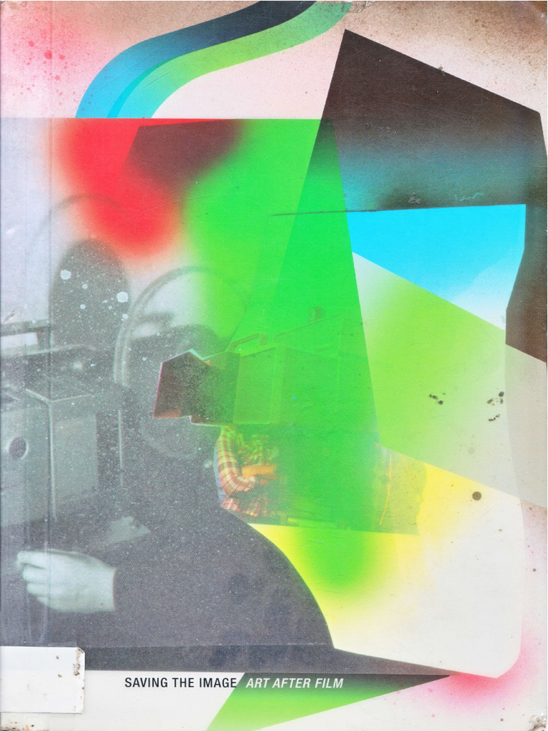 Saving The Image Raymond Bellour | PDF