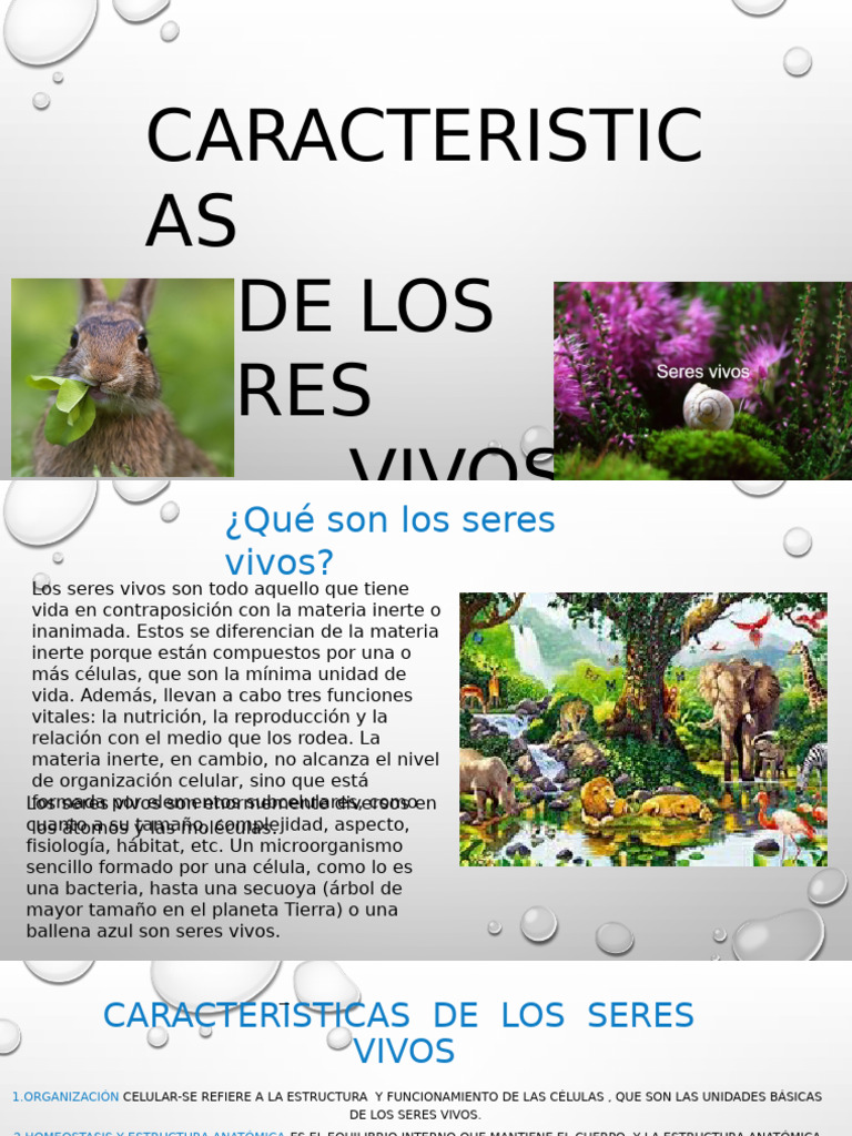 Caracteristicas de los seres vivos | PDF | Organismos | Vida