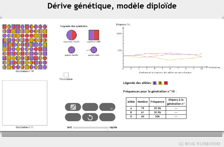 Dérive Génétique - Modèle Diploïde | PDF