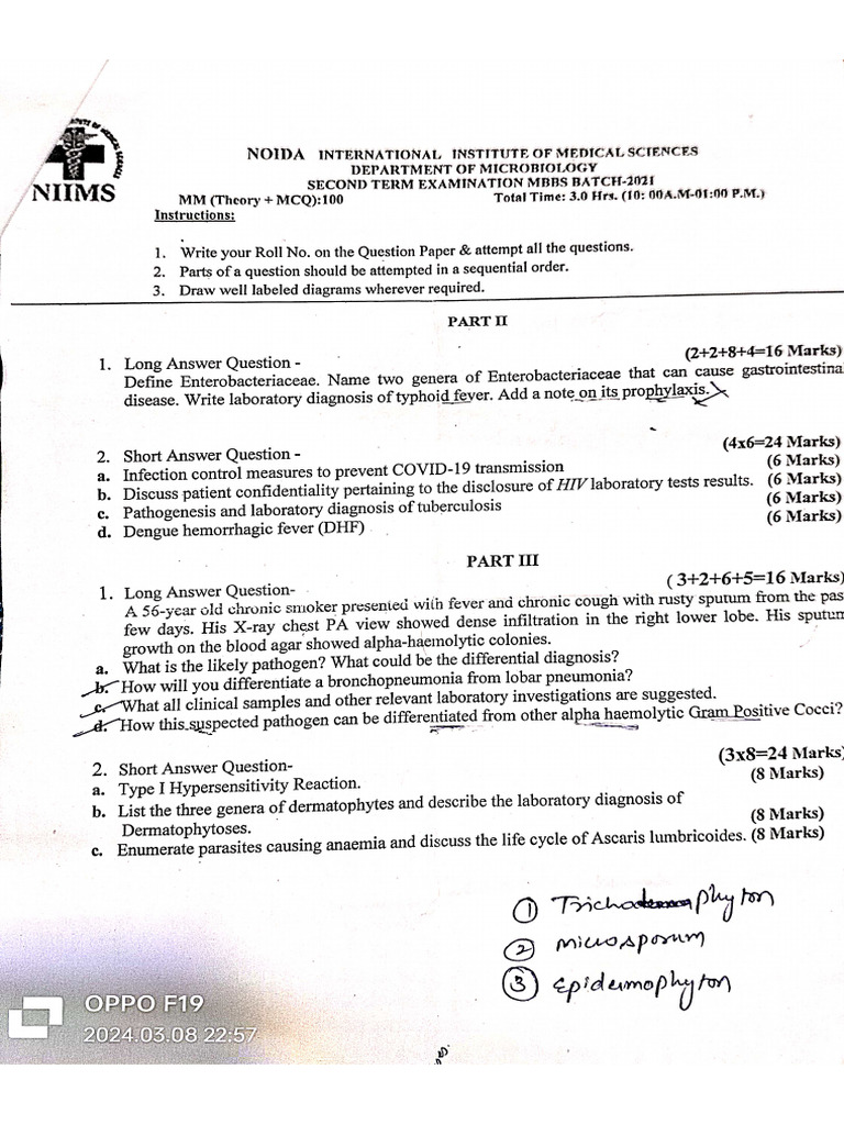 T2 2nd Proff Seniors | PDF