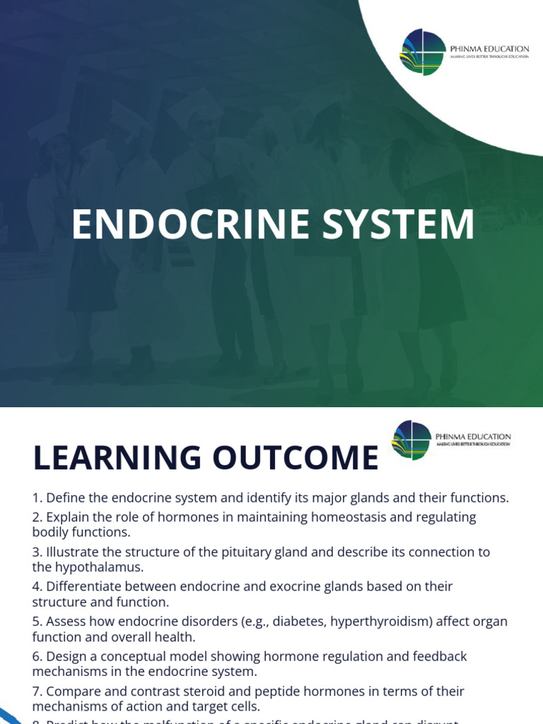Endocrine System | PDF