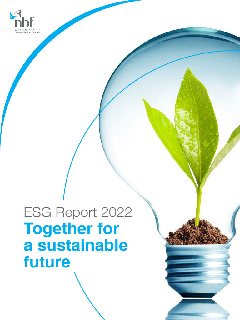 NBF 2022 ESG Performance Overview | PDF | Sustainability | Governance