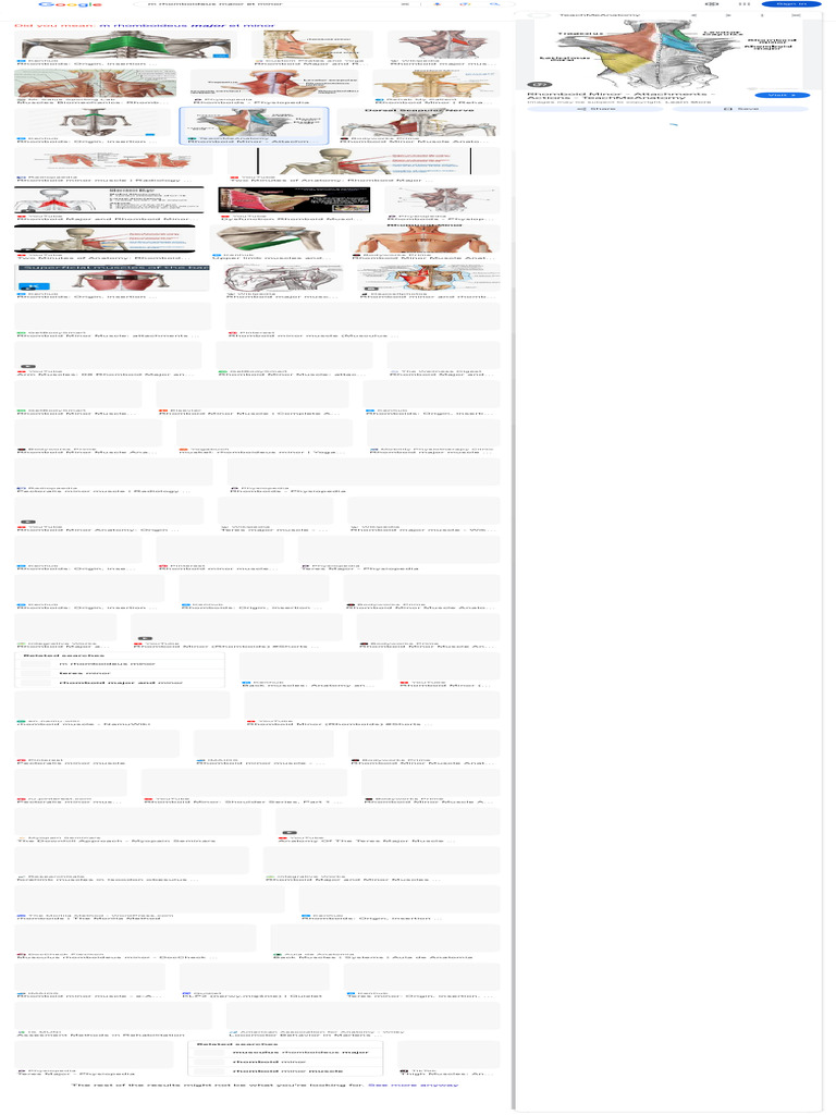 M Rhomboideus Maior Et Minor - Google Search | PDF | Limbs (Anatomy ...