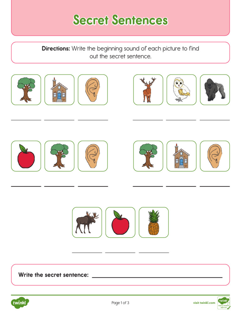 Secret Sentence Writing Activity | PDF