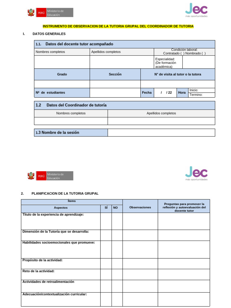 Ficha de Observaci N A La Tutoria Grupal | PDF | Aprendizaje | Cognición