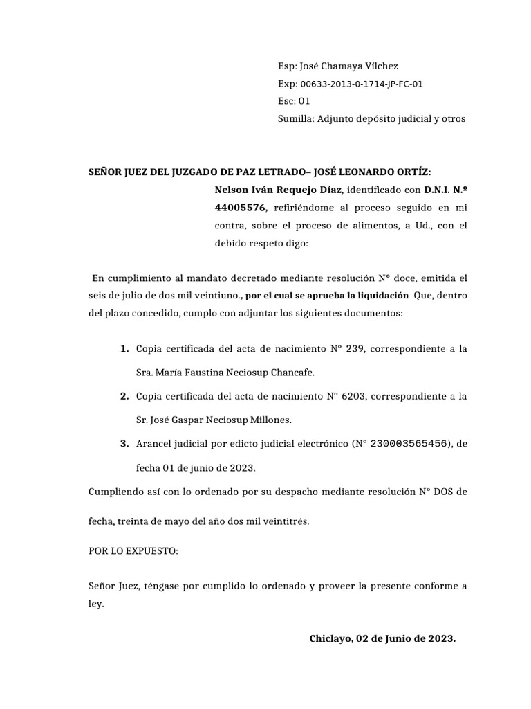 Modelo de adjunto documentos (2) | PDF