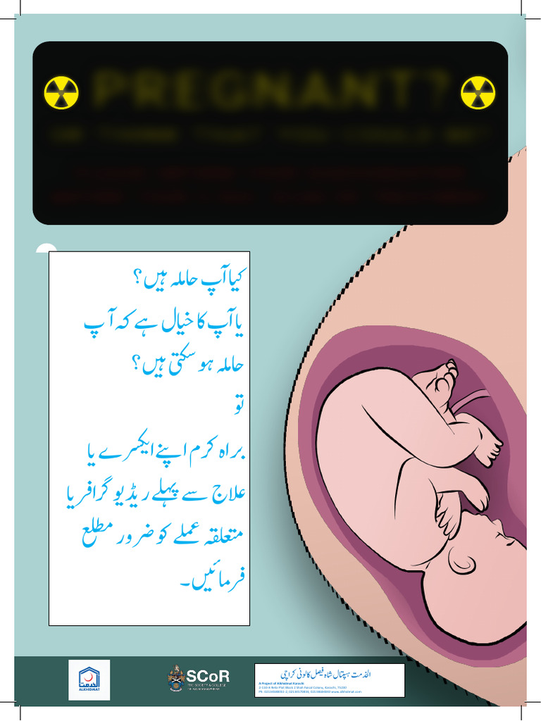 Pregnancy Poster V 2 061020.pdf 2 | PDF