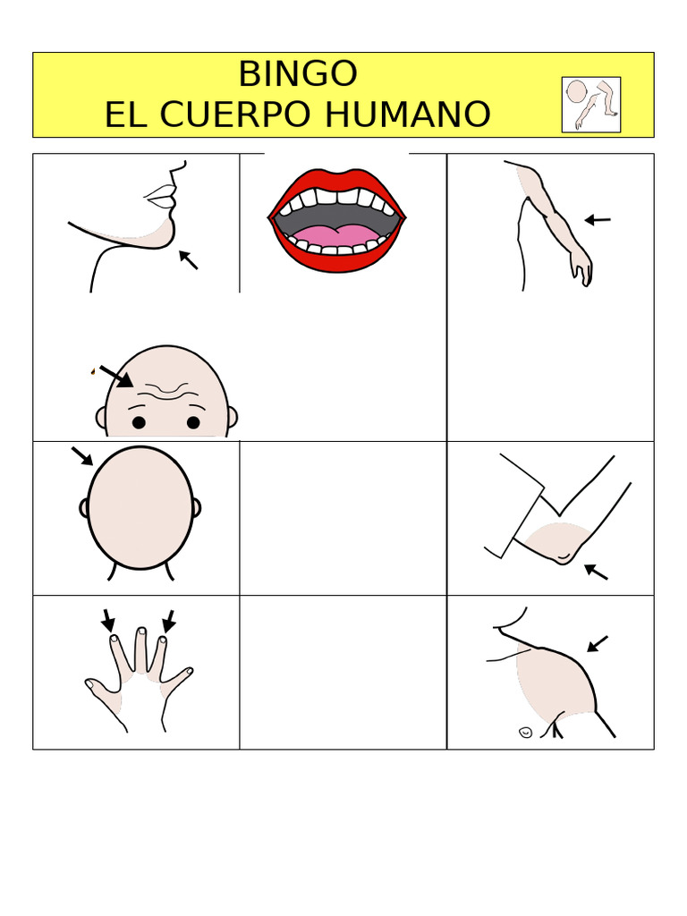 Bingo Cuerpo Humano | PDF