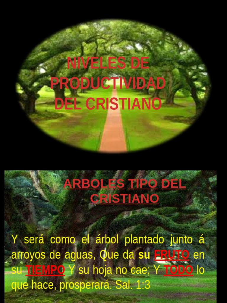 Fruto + Fruto y Mucho Fruto | PDF