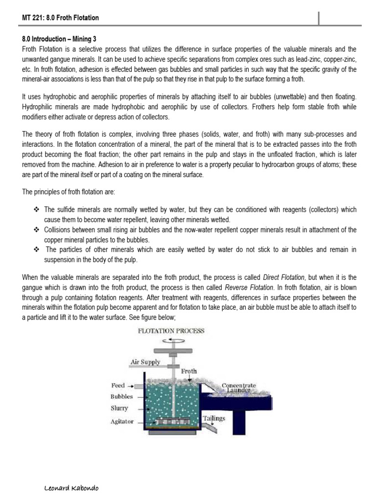 8.0 Froth Flotation 12.03.2023 | PDF | Chemical Polarity | Chemistry