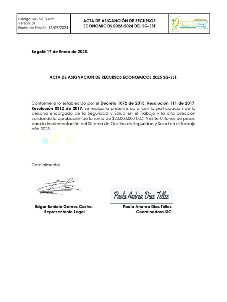 SIG-SST-D-029 Acta Recursos SG-SST 2025 | PDF