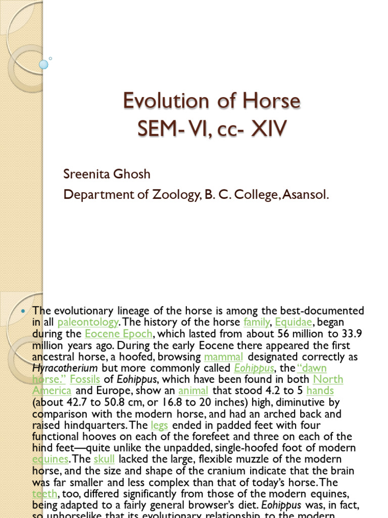 2004070631evolution_of_horse_SG | PDF | Equus (Genus) | Horses