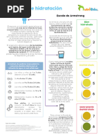 ESCALA DE ARMSTRONG (Todas Las Cat) | PDF