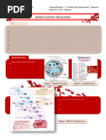 Blood Clotting Positive Feedback Mechanism | PDF