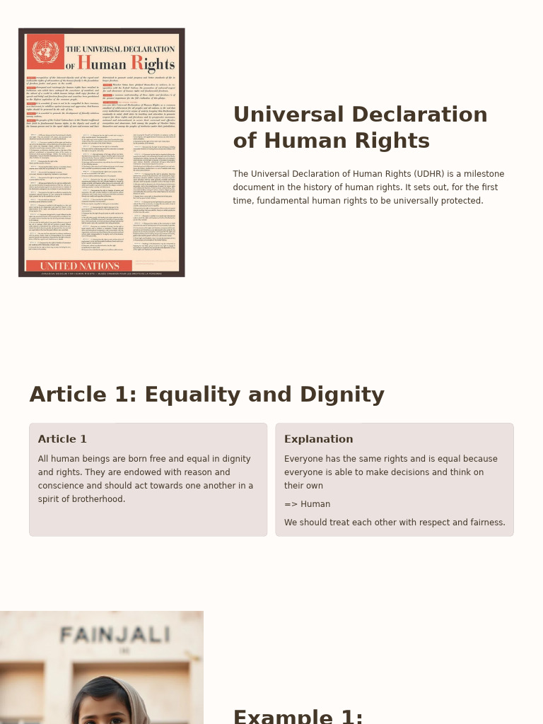 Universal Declaration of Human Rights Overview | PDF