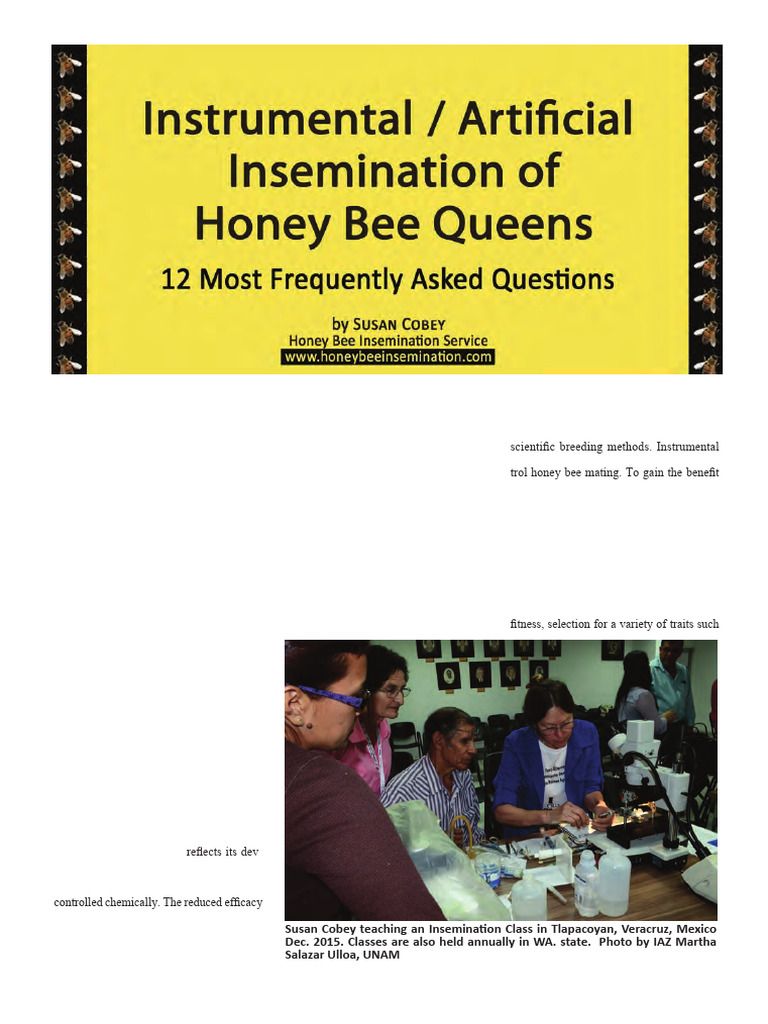 2016.-12 Most Frequently Asked Questions. American Bee Journal | PDF | Honey Bee | Western Honey Bee