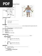 Directional Terms Worksheet | PDF | Anatomical Terms Of Location | Elbow