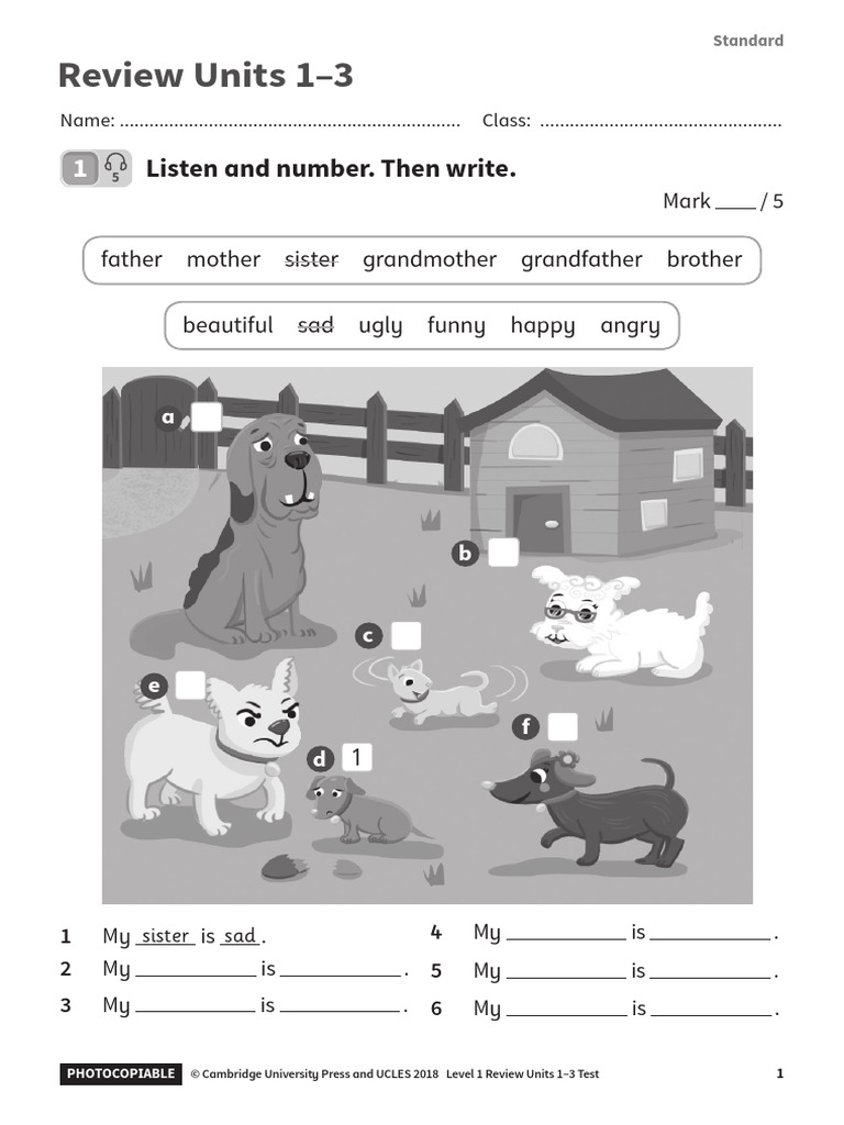 Power Up Level 1 Review Tests | PDF