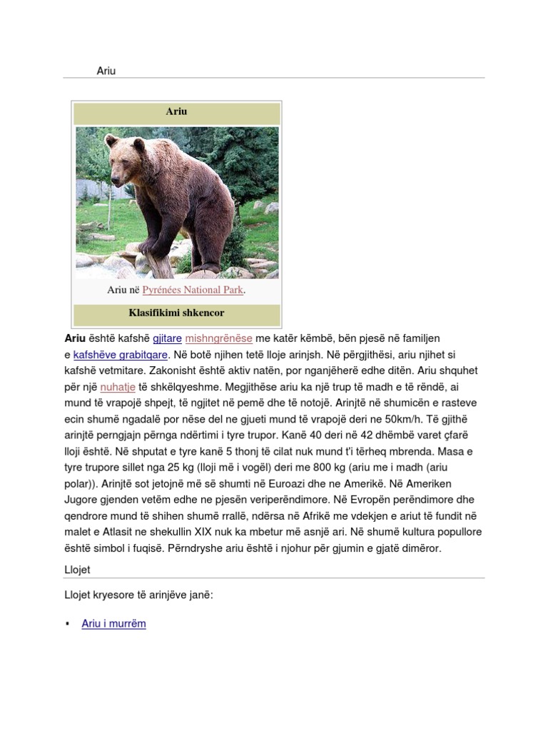 Ariu | PDF