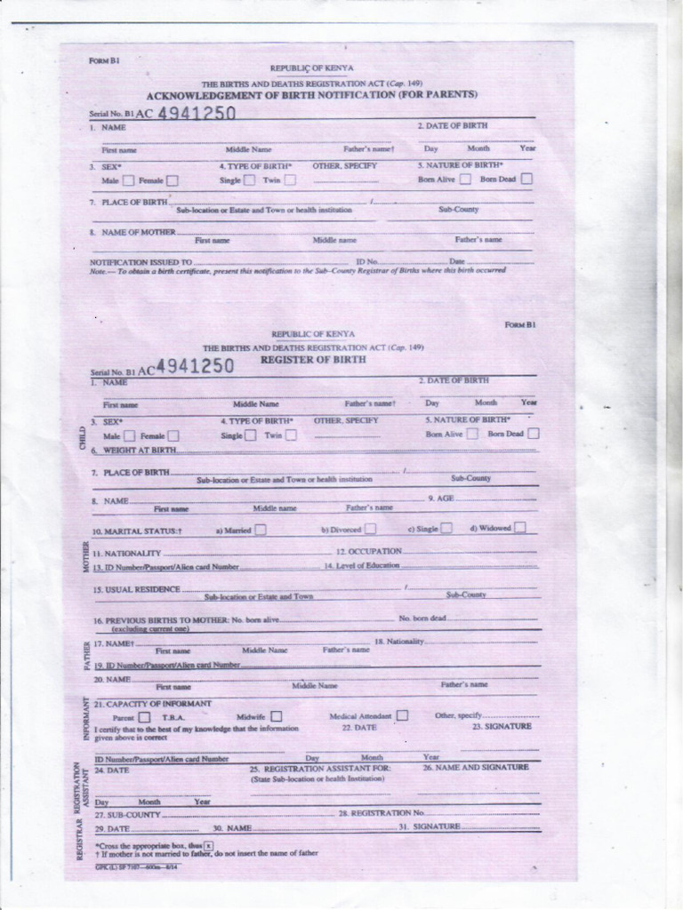 b1 Birth Certificate | PDF