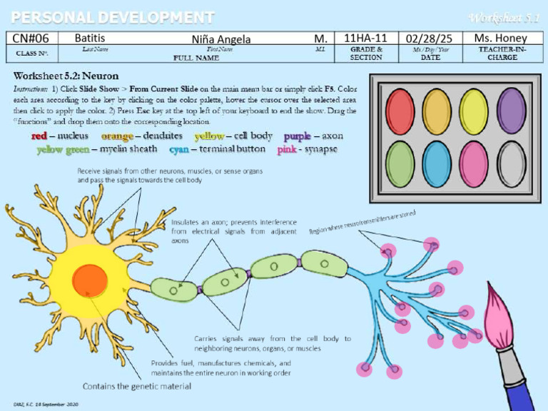 Neuron - Batitis, Niña Angela | PDF