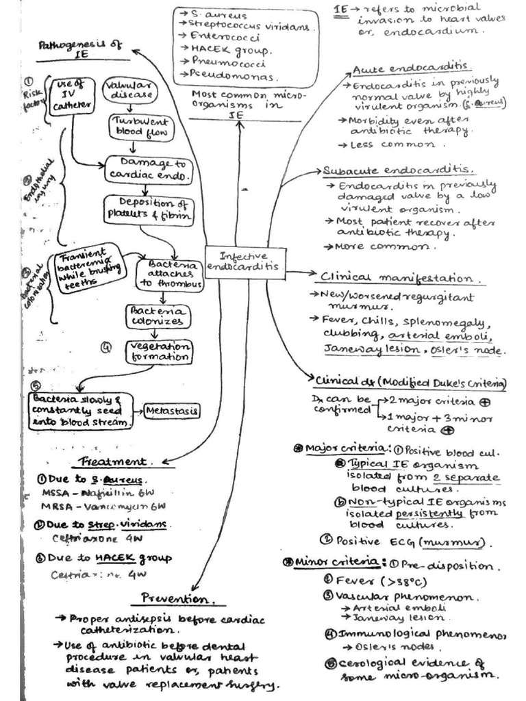 Microbiology CVS | PDF