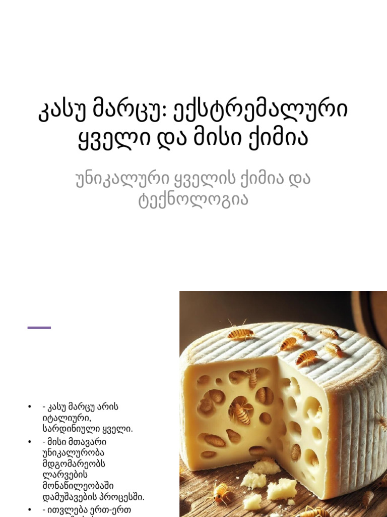Casu Marzu Presentation-1 | PDF