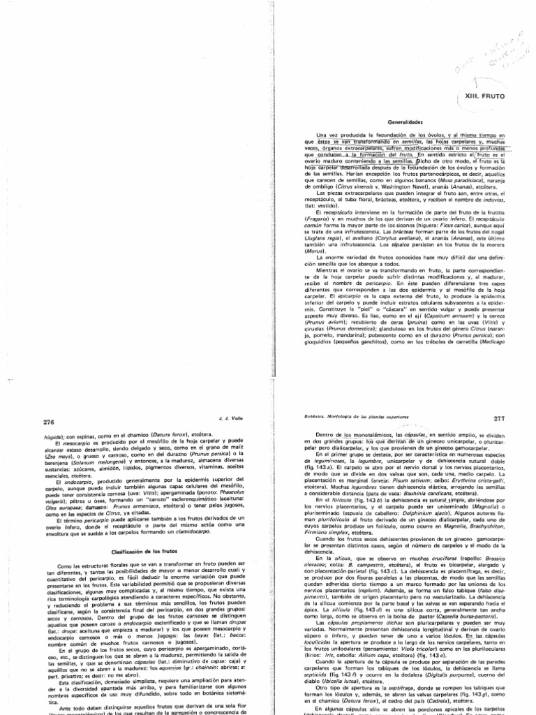 Valla JJ 1979 pag 275 - 285 | PDF