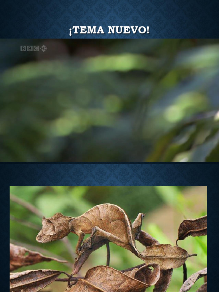 Adaptaciones Biológicas | PDF