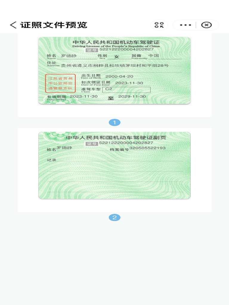 Alipay Screenshot 20250315 125551 | PDF