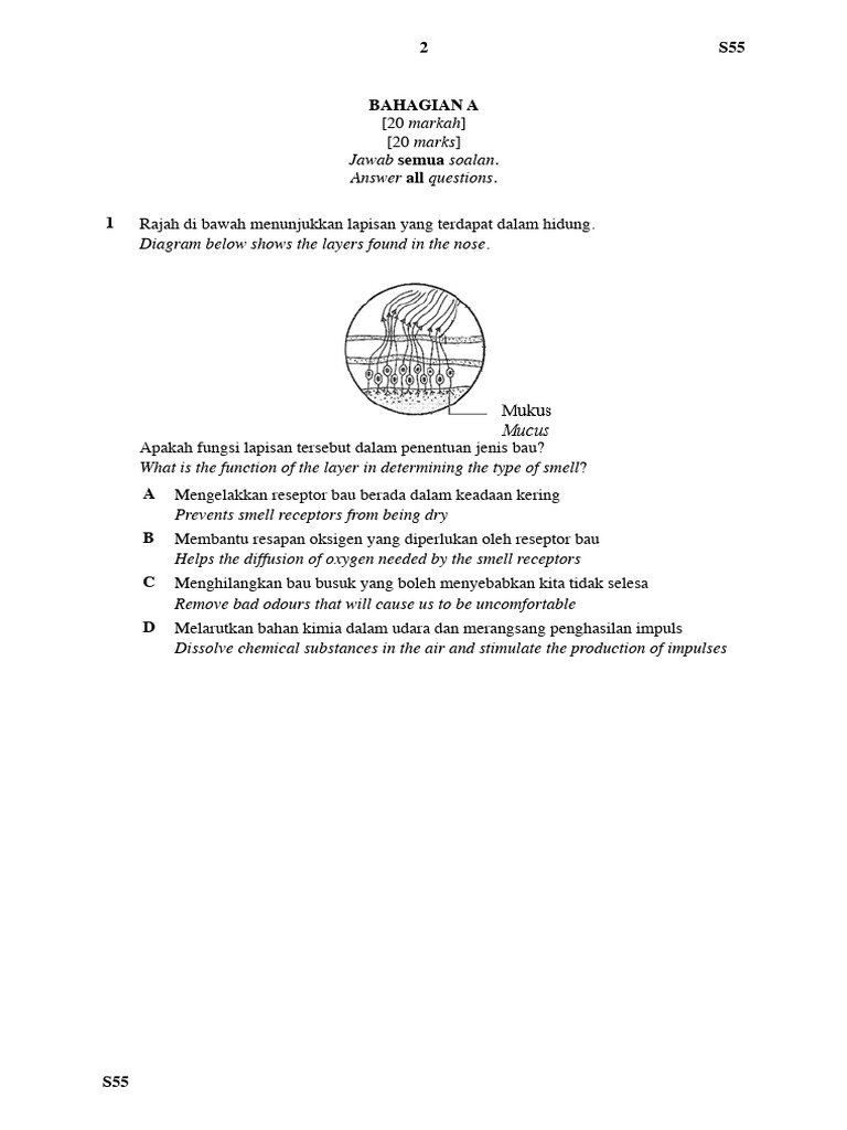 Science F3 C1 Past Year Questions | PDF