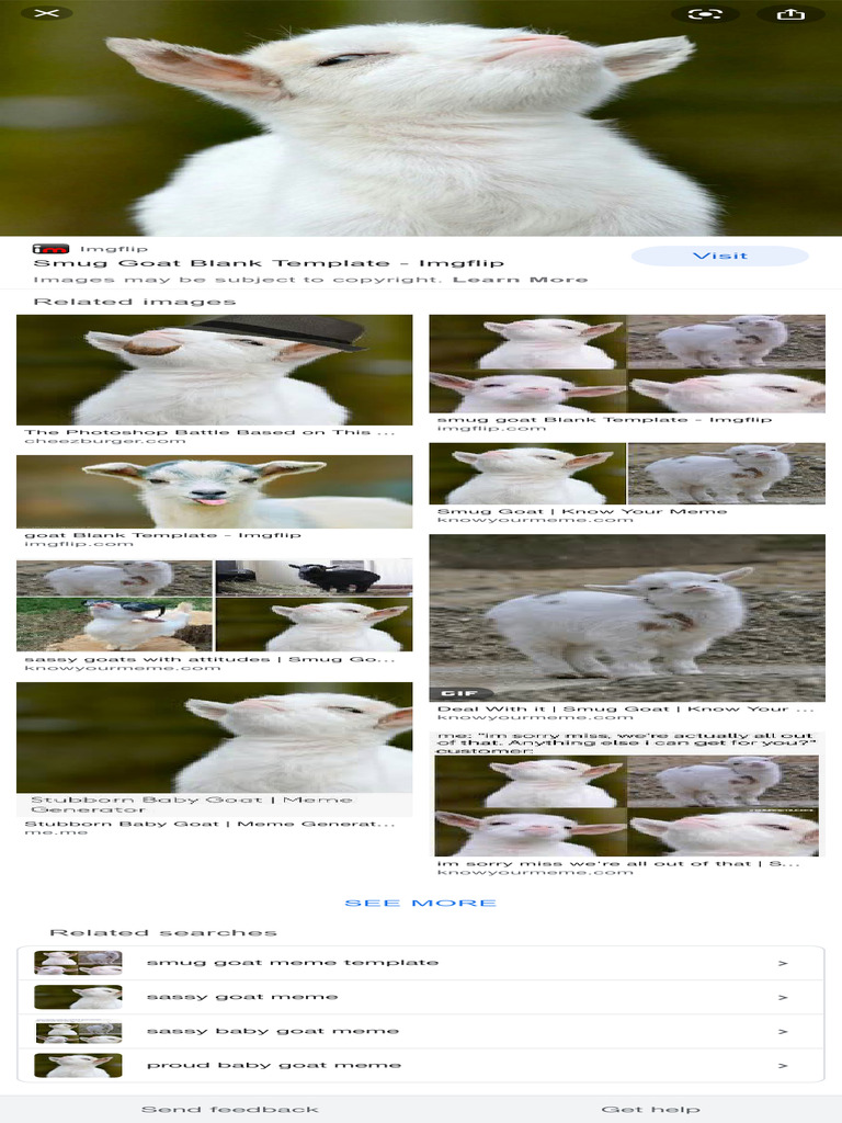 Smug Goat Meme - Google Search | PDF