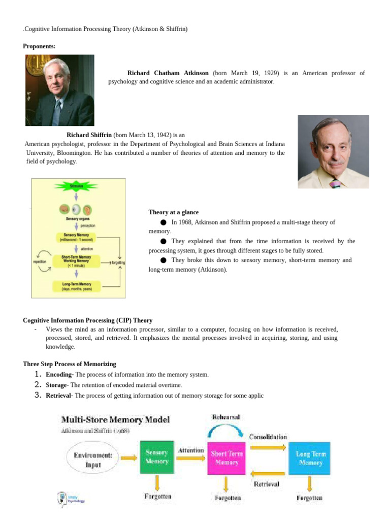 Cognitive Information Processing Theory handout | PDF | Memory | Long ...