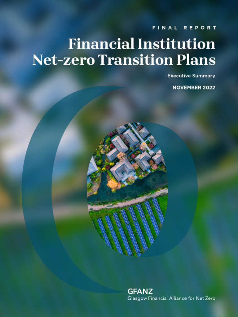 GFANZ - Financial Institutions Net Zero Transition Plan Executive Summary | PDF | Cost Of Living ...