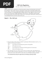 POGIL Activities For AP Biology - Cell Cycle and Regulation | PDF ...