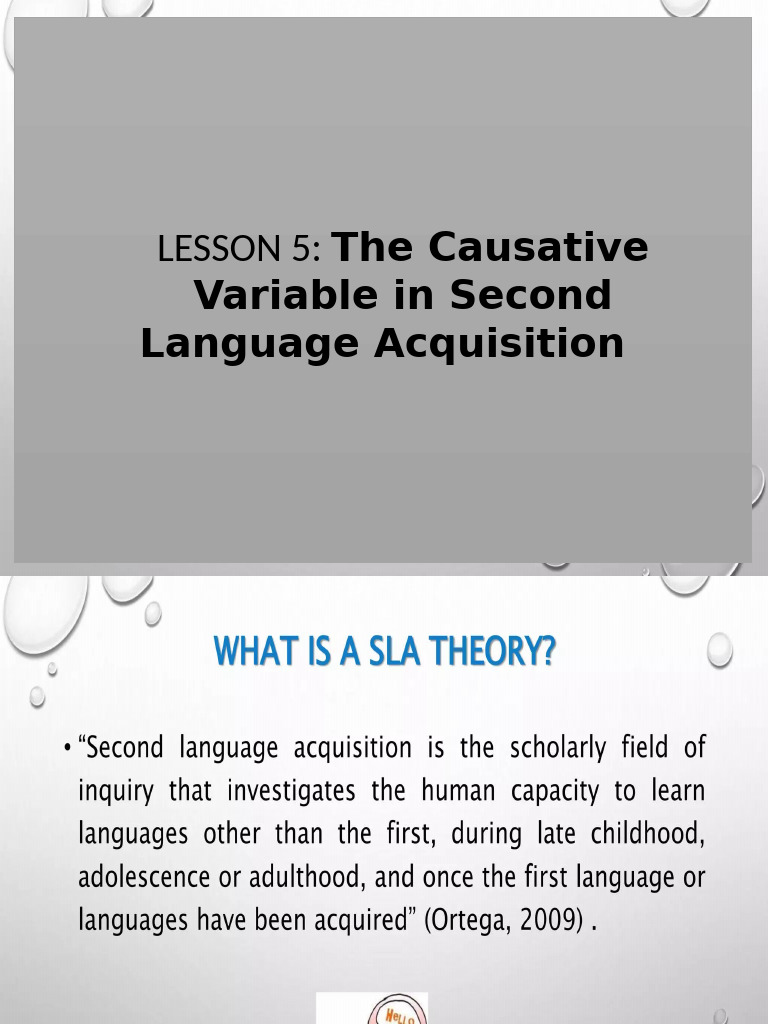 Lesson 5 Principles of Language and Theories | PDF