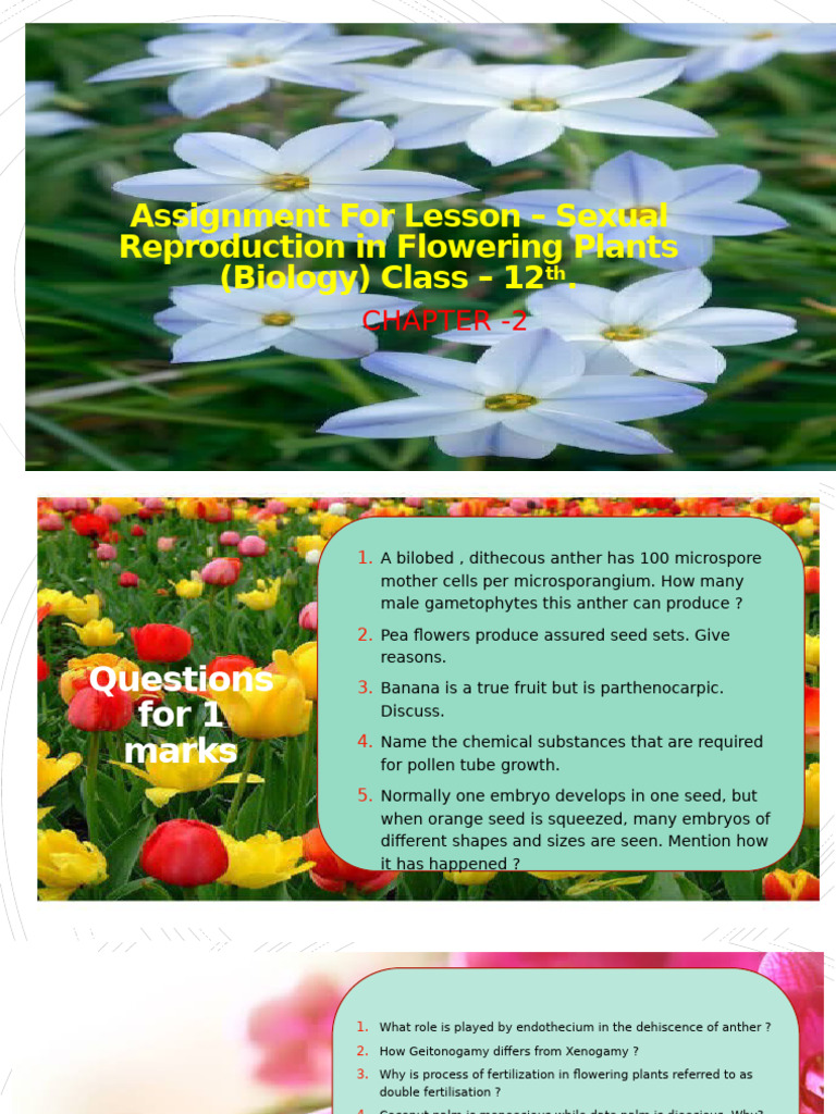 Assignment Class 12 Lesson 2 | PDF | Fertilisation | Ploidy