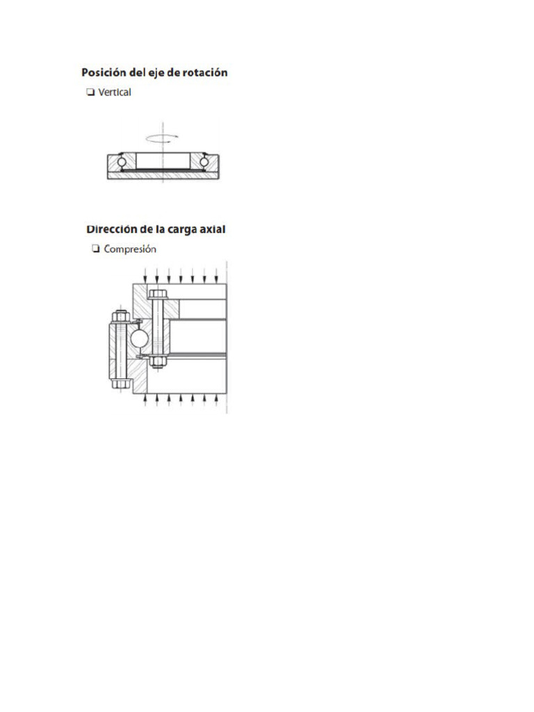 Carga Axial y Radial Permitida | PDF