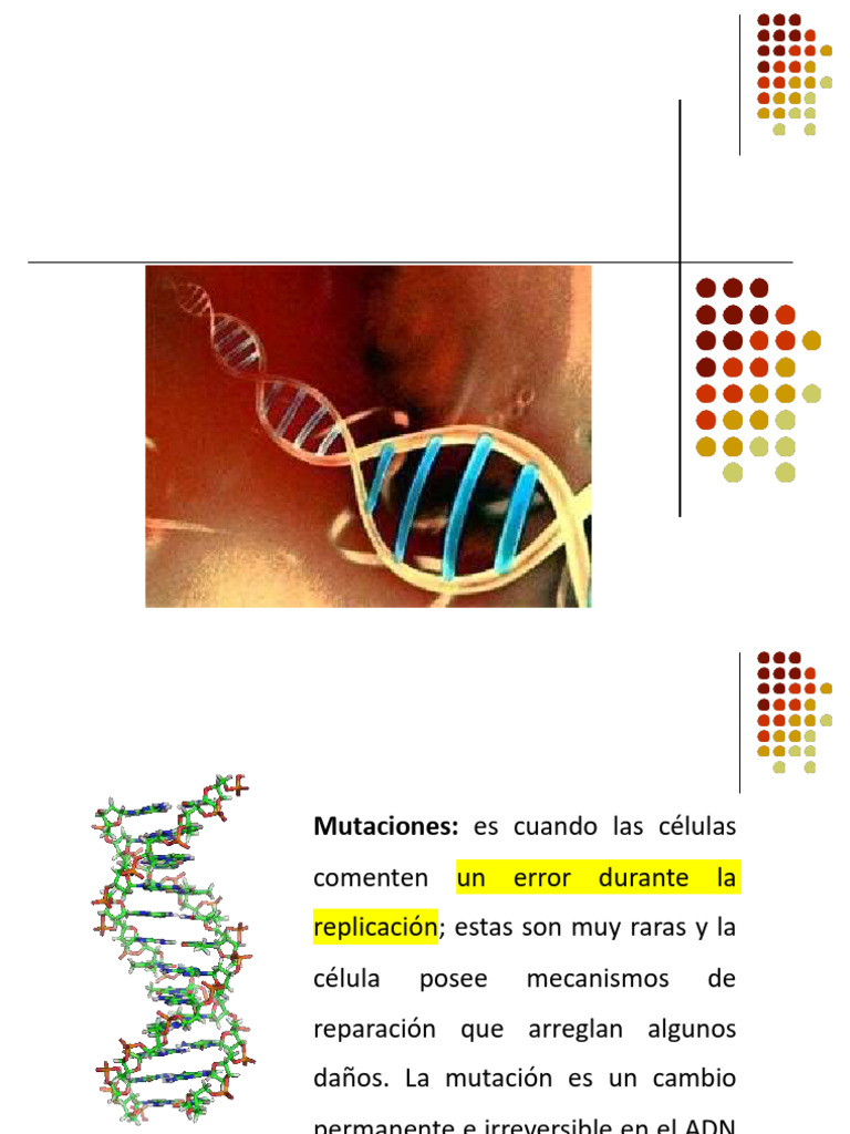 3 Mutaciones | PDF | Mutación | Codigo genetico