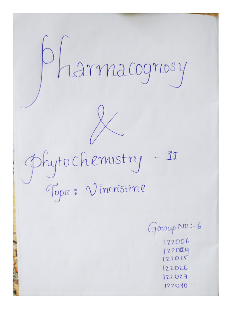 Cognosy 2 Seminar 2 | PDF