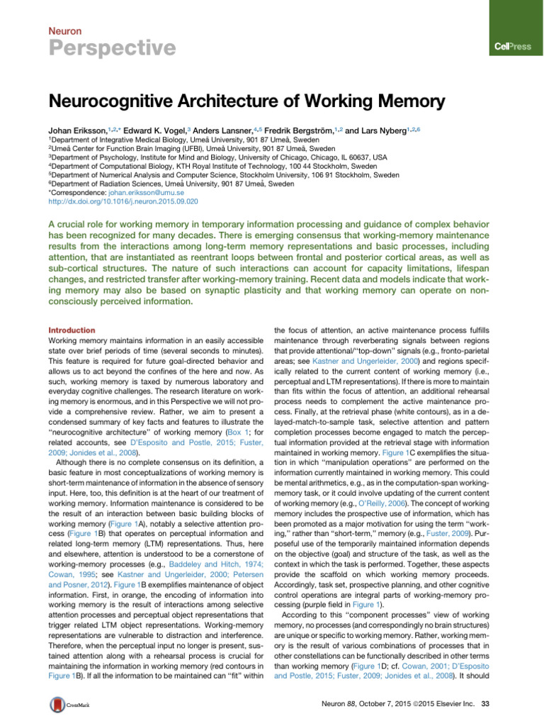Neurocognitive Architecture of Working Memory | PDF | Working Memory | Prefrontal Cortex