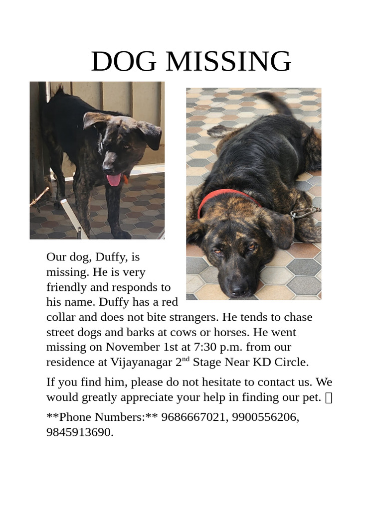 Dog Missing | PDF