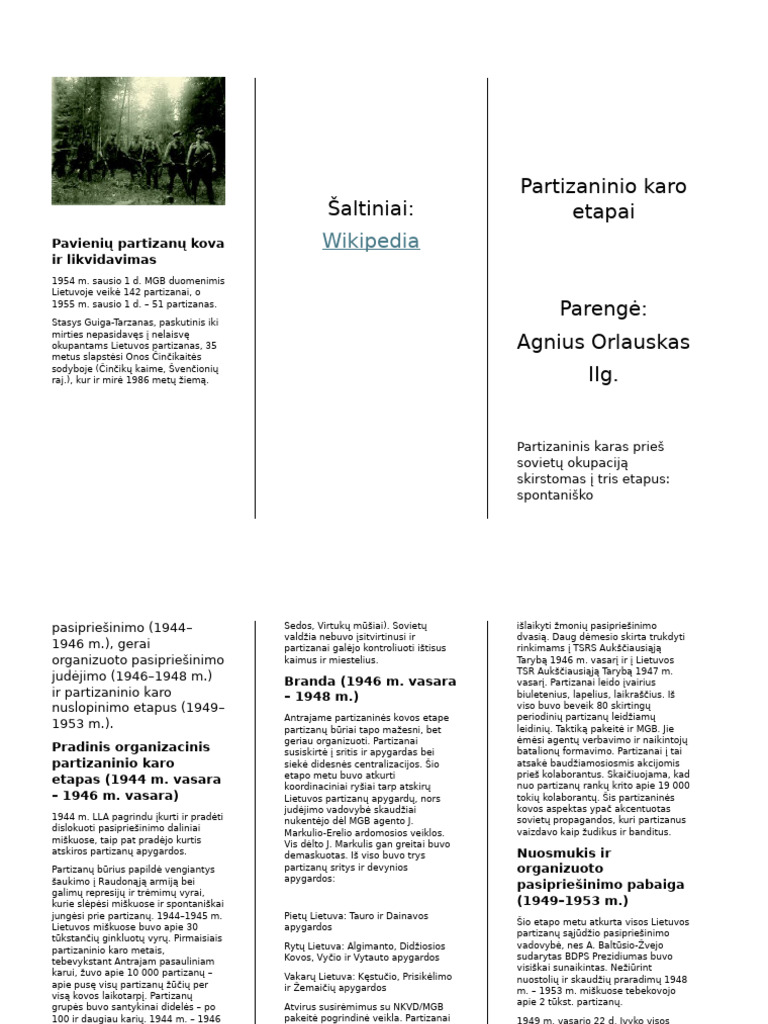 Partizaninio Karo Etapai | PDF