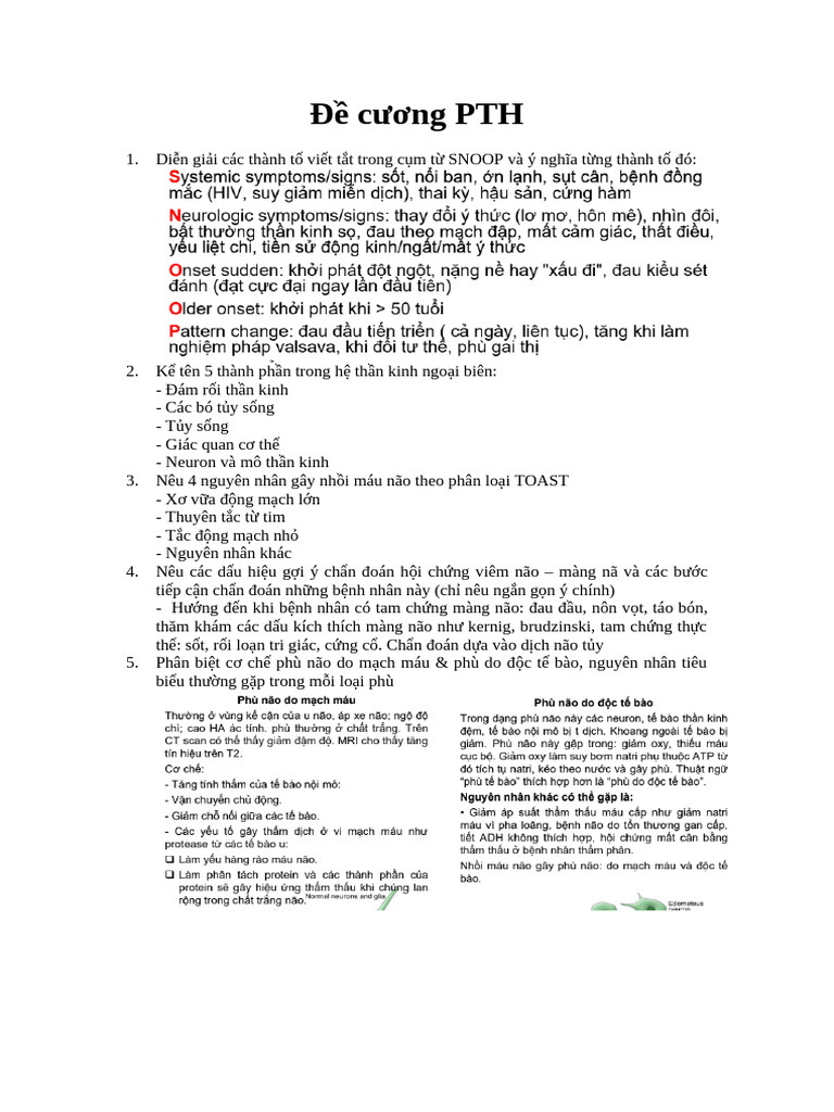 Đề cương PTH | PDF