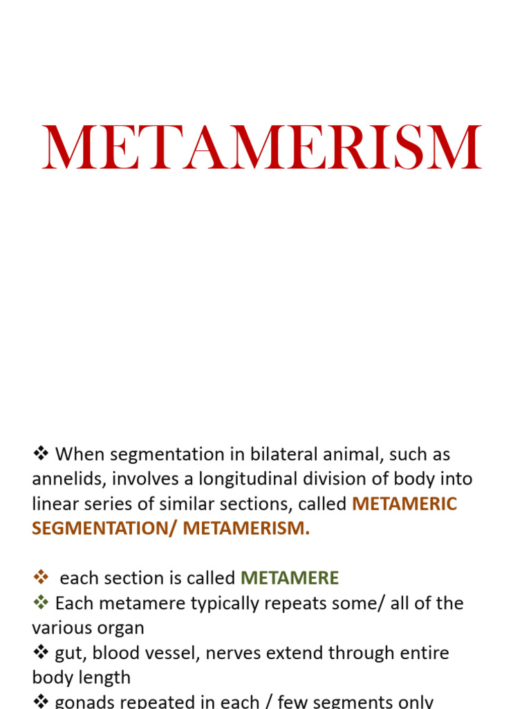 1585911823METAMERISM | PDF