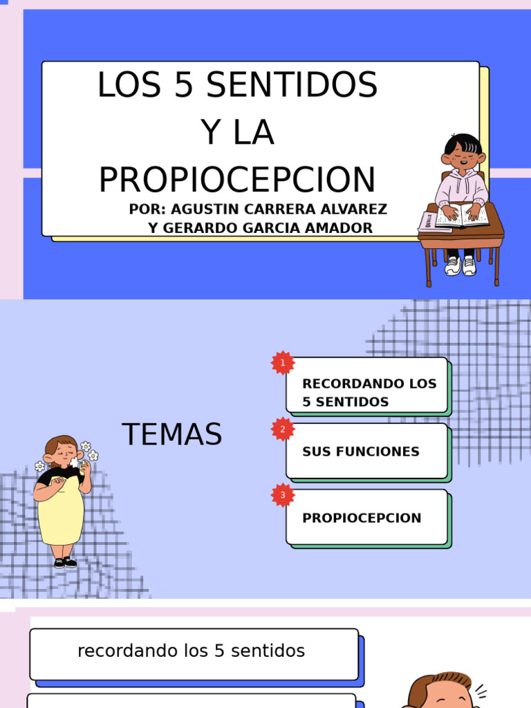 Funciones de los 5 Sentidos y Propiocepción | PDF