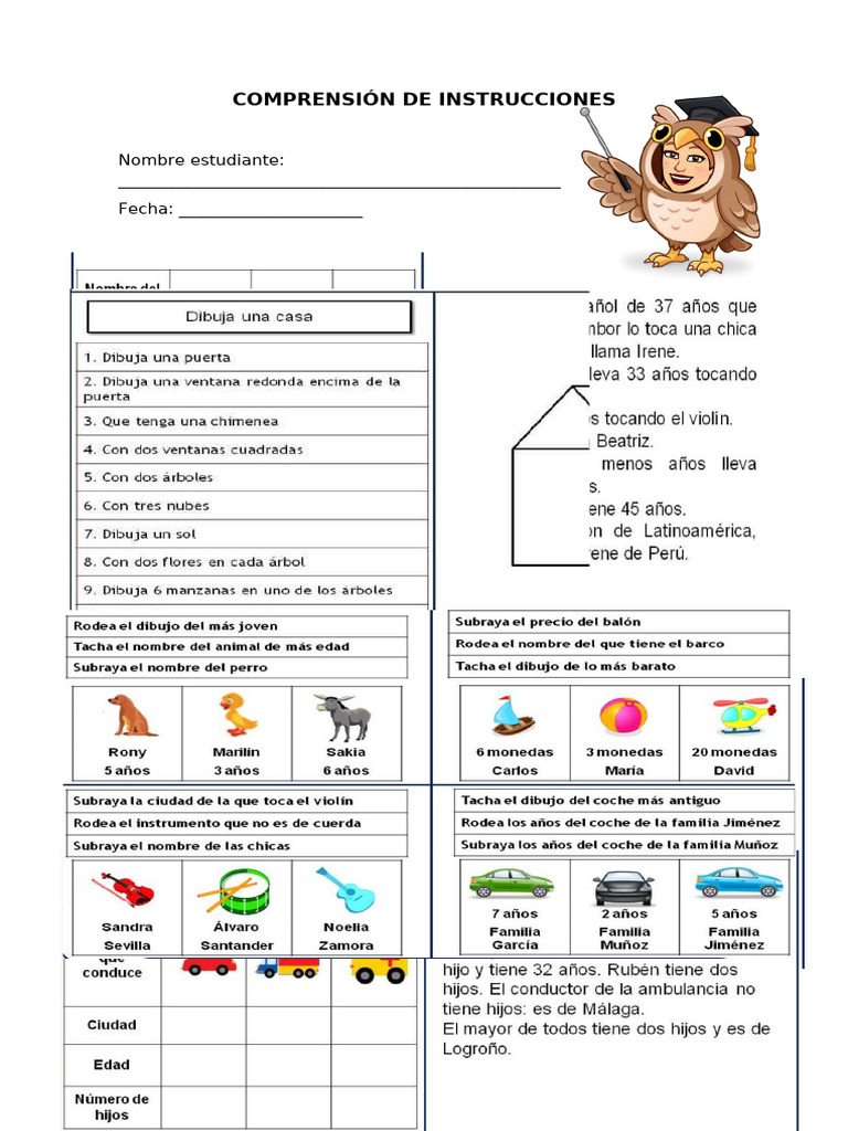 Seguimiento de Instrucciones | PDF