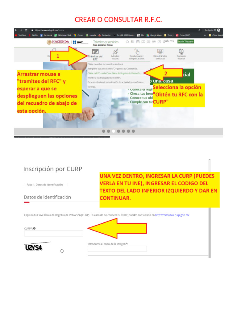 Consultar o Crear RFC | PDF