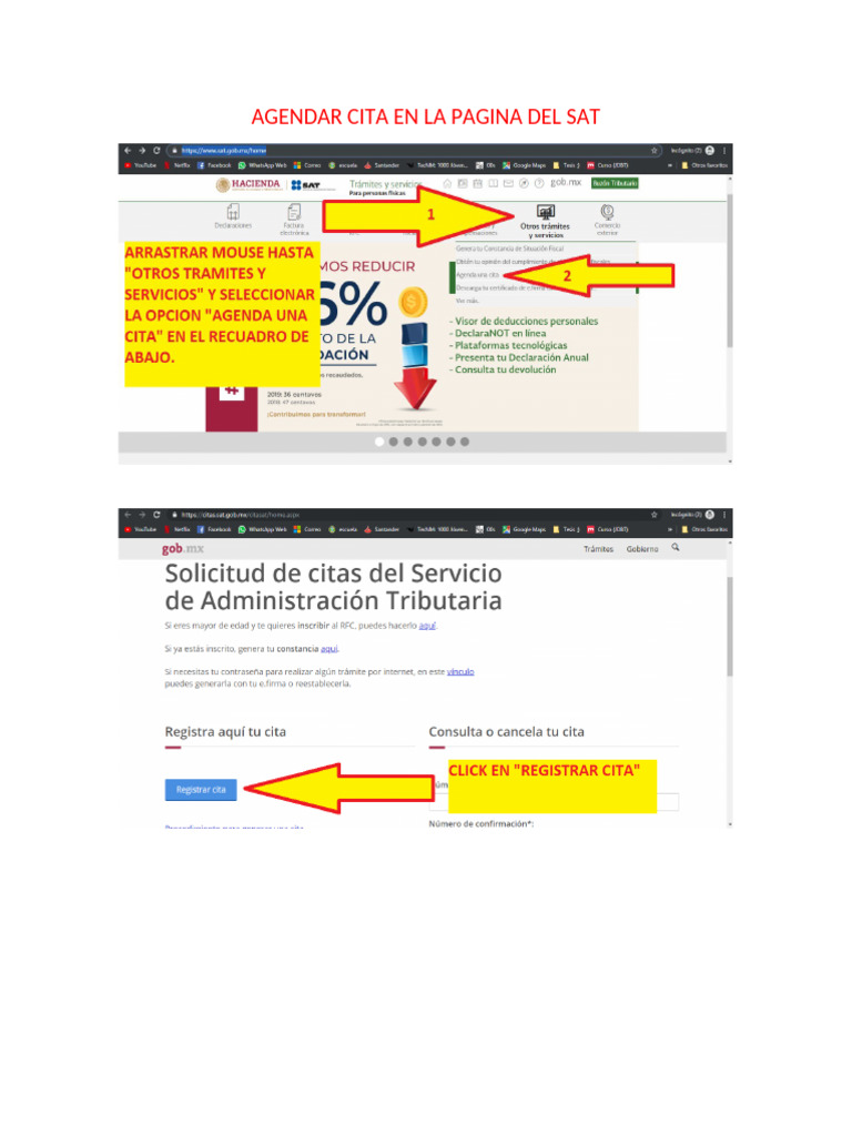 Agendar Cita en La Pagina Del Sat | PDF